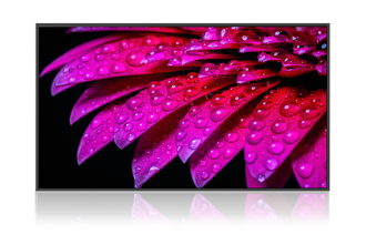 Mimio DS Documentation and Support